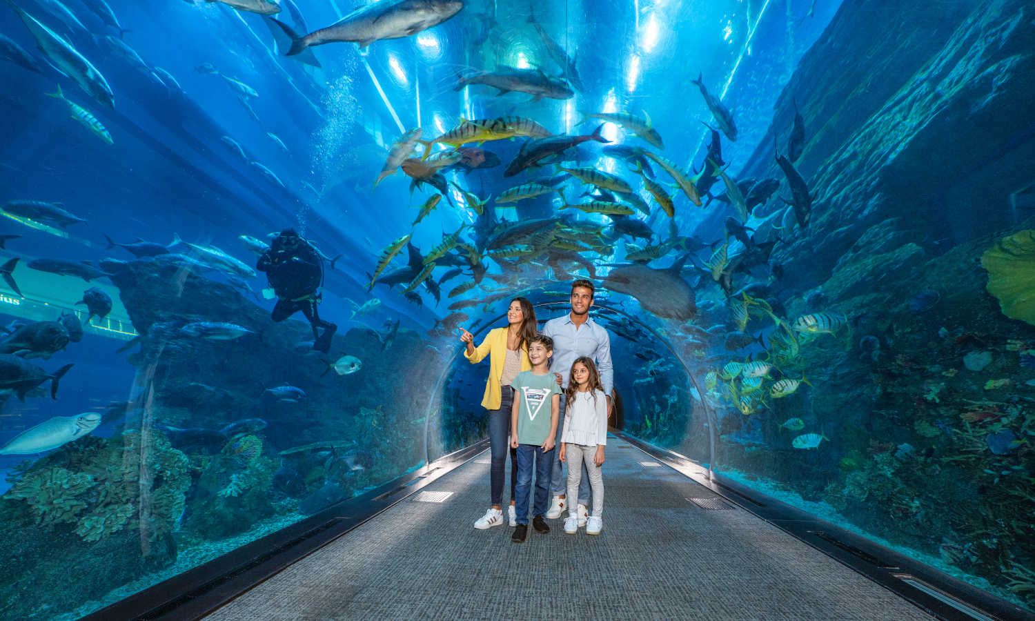 Entradas al Mall Aquarium y Underwater Zoo de Dubái | Buendía Tours